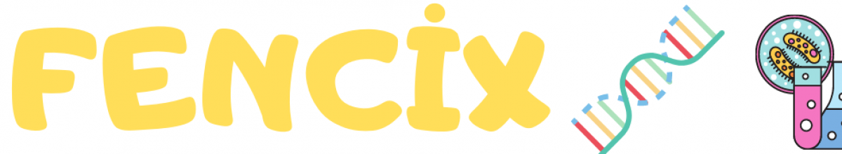 cropped-ust-banner.png | Fencix
